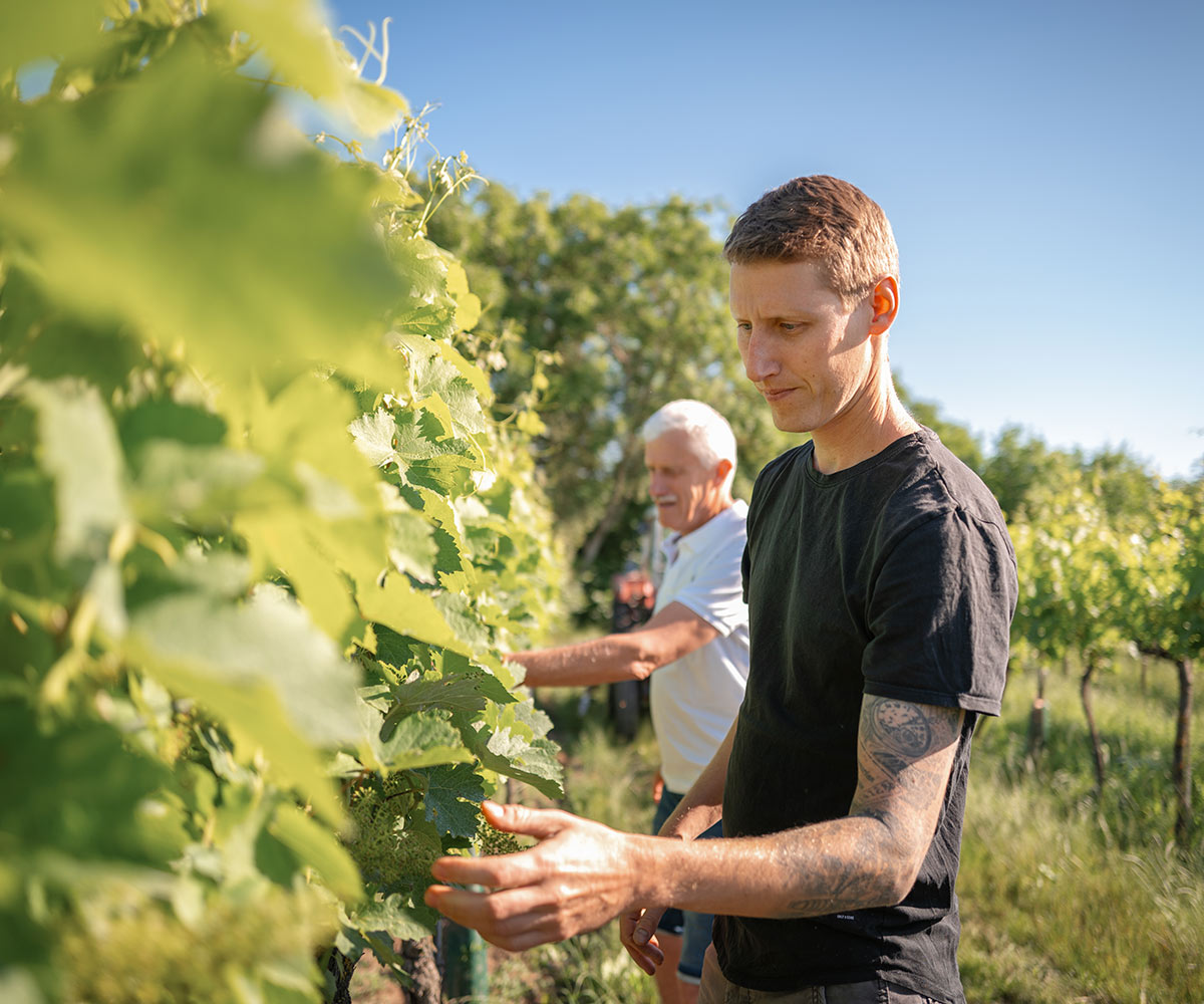 Michael Bauer - Winzer - Wagram - 2025 - Gault&Millau